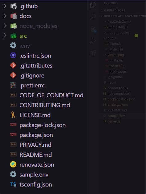 Quality Assurance Advanced Node And Express Backend Development The Freecodecamp Forum