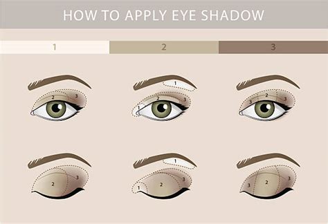 Applying Eye Makeup Diagram