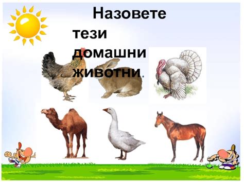 Домашни животни