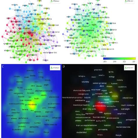 Network Visualization Map Of Terms In Titleabstract Fields Of