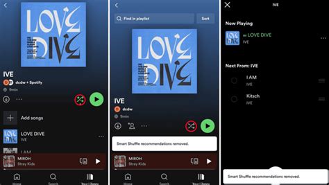 How To Turn On Off Smart Shuffle On Spotify Build My Plays