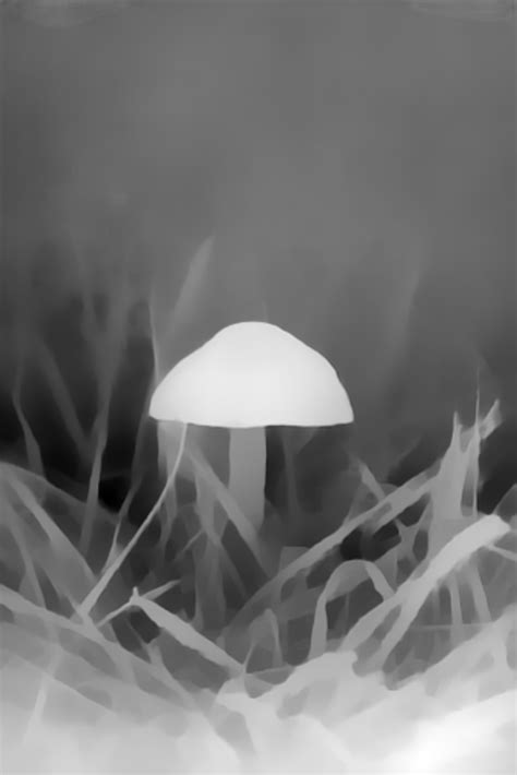 Bug Does Not Work With Bit Depthmaps Issue Mikubill Sd Webui Controlnet Github