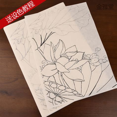 工笔白描底稿图片 画猫 荷花 大山谷图库