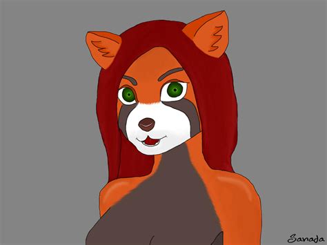 Red Panda By Sanadaboichera On Deviantart