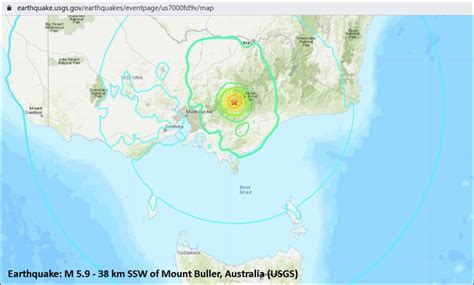 Earthquake At The Nest Outside My Window