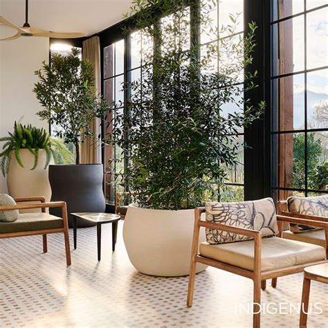 Home Indigenus Indigenus Planters