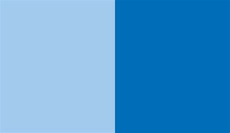 Color Pantone 210 C Vs Pantone 204 C Side By Side