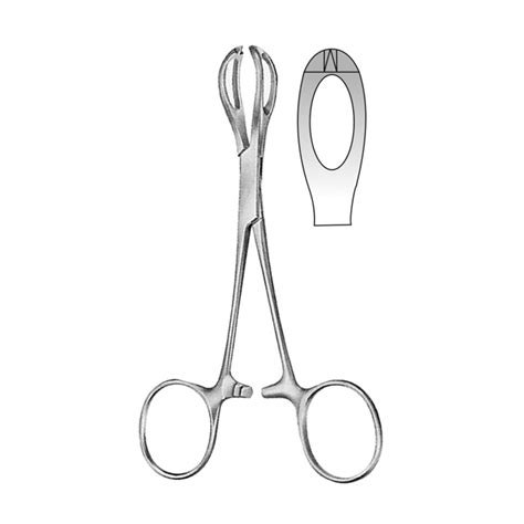 Tissue Forceps Fardan Enterprises