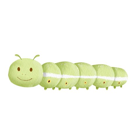 Insecto Gusano Acuarela 16548005 Png