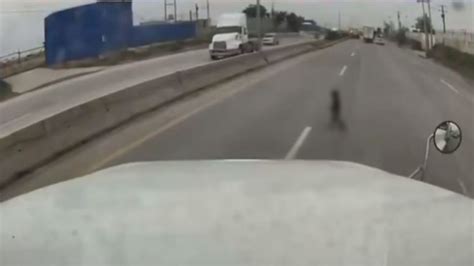 ¡héroe Sin Capa Trailero Salva A Un Niño Que Atravesaba Una Carretera