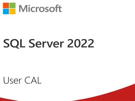 Giấy Phép Sử Dụng Microsoft Sql Server 2022 Usercal Client Access License