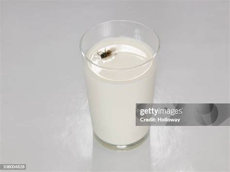 Bug Glasses Photos And Premium High Res Pictures Getty Images