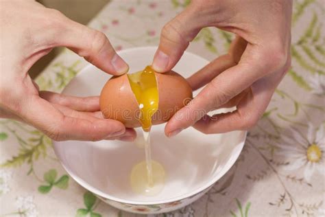 Las Manos Femeninas Abren El Huevo El Proceso De Abrir Los Huevos Para Hacer La Torta Huevos