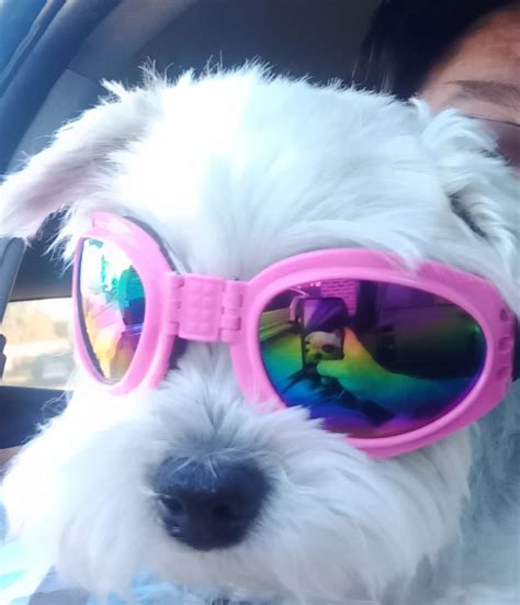 Random Pics Of Ruby Daisy Rshihtzu