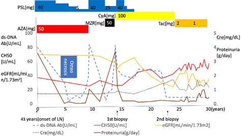 Figure1 Clinical Course Over The Past 30 Years From The Onset Of Lupus
