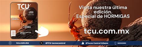 Legislación Y Normativas Sobre Control De Plagas Enfocándose En El