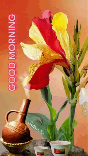 Eritreantiktok Eritv GIF Eritreantiktok Eritrea Eritv Discover Share GIFs