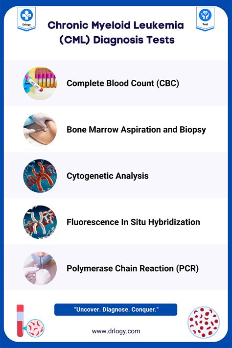 5 Simple And Reliable Diagnostic Test For Cml Diagnosis Drlogy