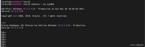 linux操作系统下oracle 19c数据库的安装及常见问题的处理 linux 安装19c oracle 连接不上 csdn博客