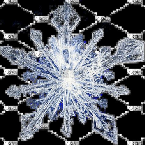冬天冬季冬日节气写实冰晶雪花元素素材素材 花瓣网