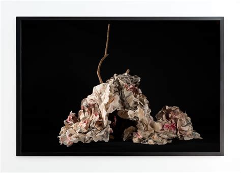 Ana María Devis Casa Hoffmann