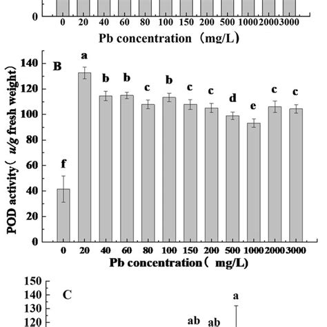 Growth Status Of Maize Under Pb Stress Download Scientific Diagram