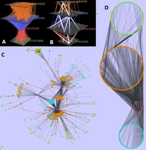 Joint Human Gpcr Signal Transduction Network With Four Different Types Download Scientific