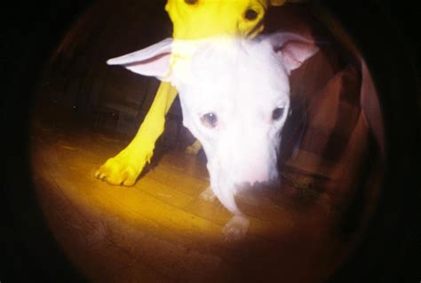 Lomography Fisheye No