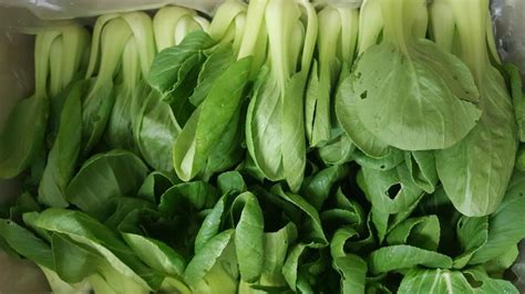 맘마유이유식 오늘 들어온 야채와 이파리채소들 입니다 모두 유기농 또는 무농약 인증제품으로 주3회