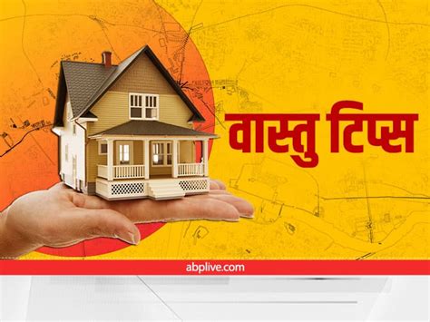 Tulsi Plant Vastu Tips For Home Do Not Keep These Things Around Tulsi