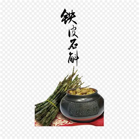 铁皮石斛png图片素材下载图片编号yonzxrer 免抠素材网