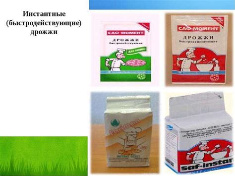 Использование дрожжей в пищевой промышленности презентация доклад проект скачать