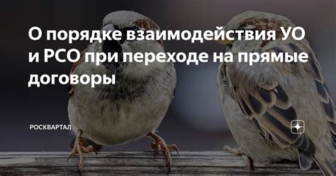 О порядке взаимодействия УО и РСО при переходе на прямые договоры РосКвартал первая