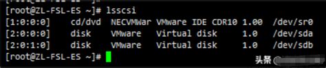 linux系统中的lsmod、lsof、lspci、lsscsi命令及实例 熊仔其人 博客园
