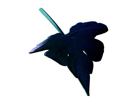 Mouse Parallax Wonderland Wow Showroom