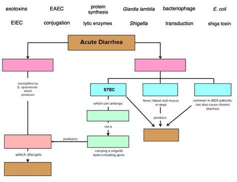Exotoxins Eaec Protein Synthesis Giardia Lamblia Bacteriophage E Coli