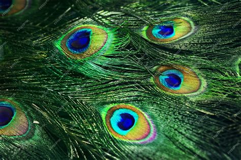 Premium Photo Close Up Photo Of Beautiful Peacock Tail