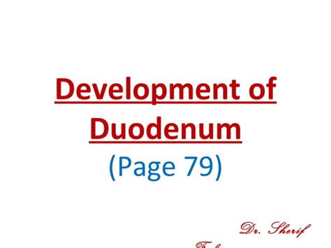 Development Of Duodenum Special Embryology