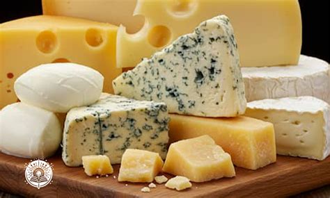 دليل شامل لأنواع الجبن وفوائده واستخداماته المجموعة العربية للمعرفة