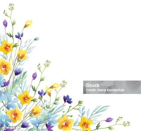 야생화 프레임 수채화 클립 아트 0명에 대한 스톡 벡터 아트 및 기타 이미지 0명 공란 귀여운 Istock