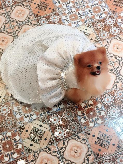 Gangkhonfuu ขอขอบพระคุณ แขกรับเชิญคุณ Rinrain