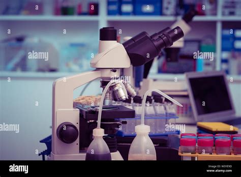 Types Of Microscope Used In Forensic Science At Ernestine Gibbs Blog