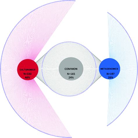 Comparison Of Bacterial Species Identified By Metagenomics Vs Download Scientific Diagram