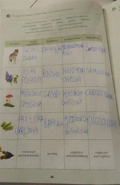 Uzupełnij tabelę proszę to dla osoby która chce mi pomóc w zadaniu Brainly pl