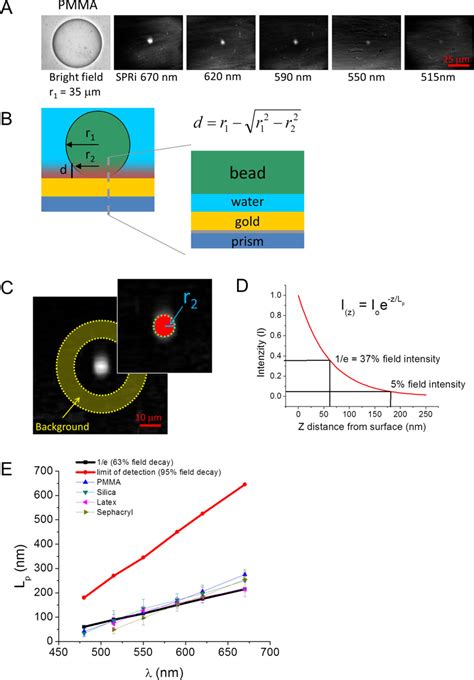 Measurement Of Spr Evanescent Wave Ew Penetration Depth By Geometric