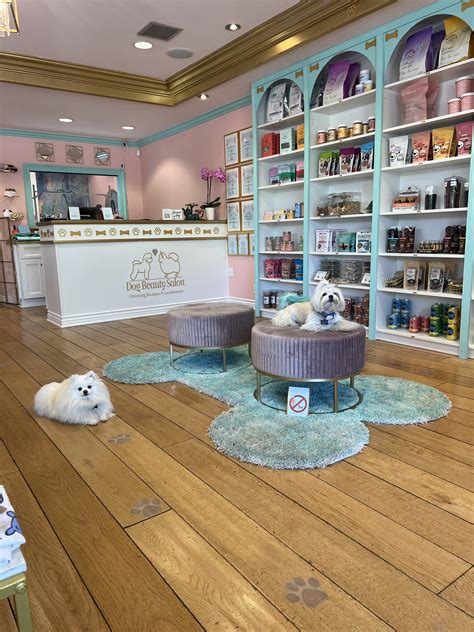 Dog Boutique Dog Grooming Salons Dog Grooming Shop Dog Salon