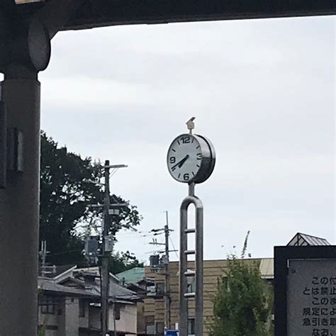 朝挨拶 生駒市議 加藤裕美（かとうひろみ） ブログ
