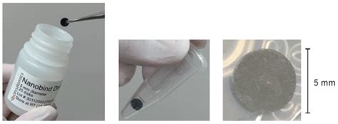 【製品性能評価】nanobind Cbb Kit を用いた高分子dnaの抽出 Up Online