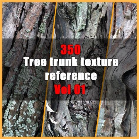 Artstation Tree Trunk Texture Reference Vol 01 Resources Tree