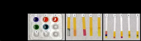 Three Sets Of Tests Universal Ph Indicator Universal Ph Paper And